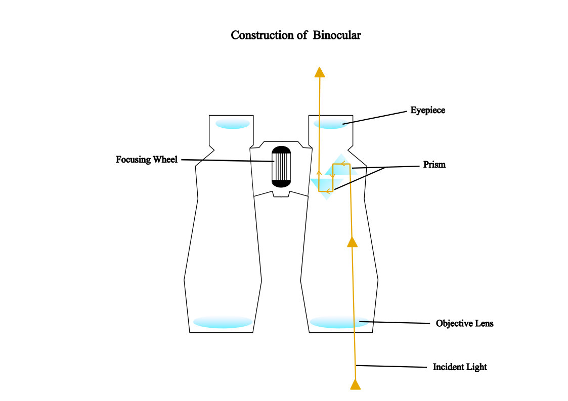 How Binocular Works: Principles, Features, and Real-Life Applications ...